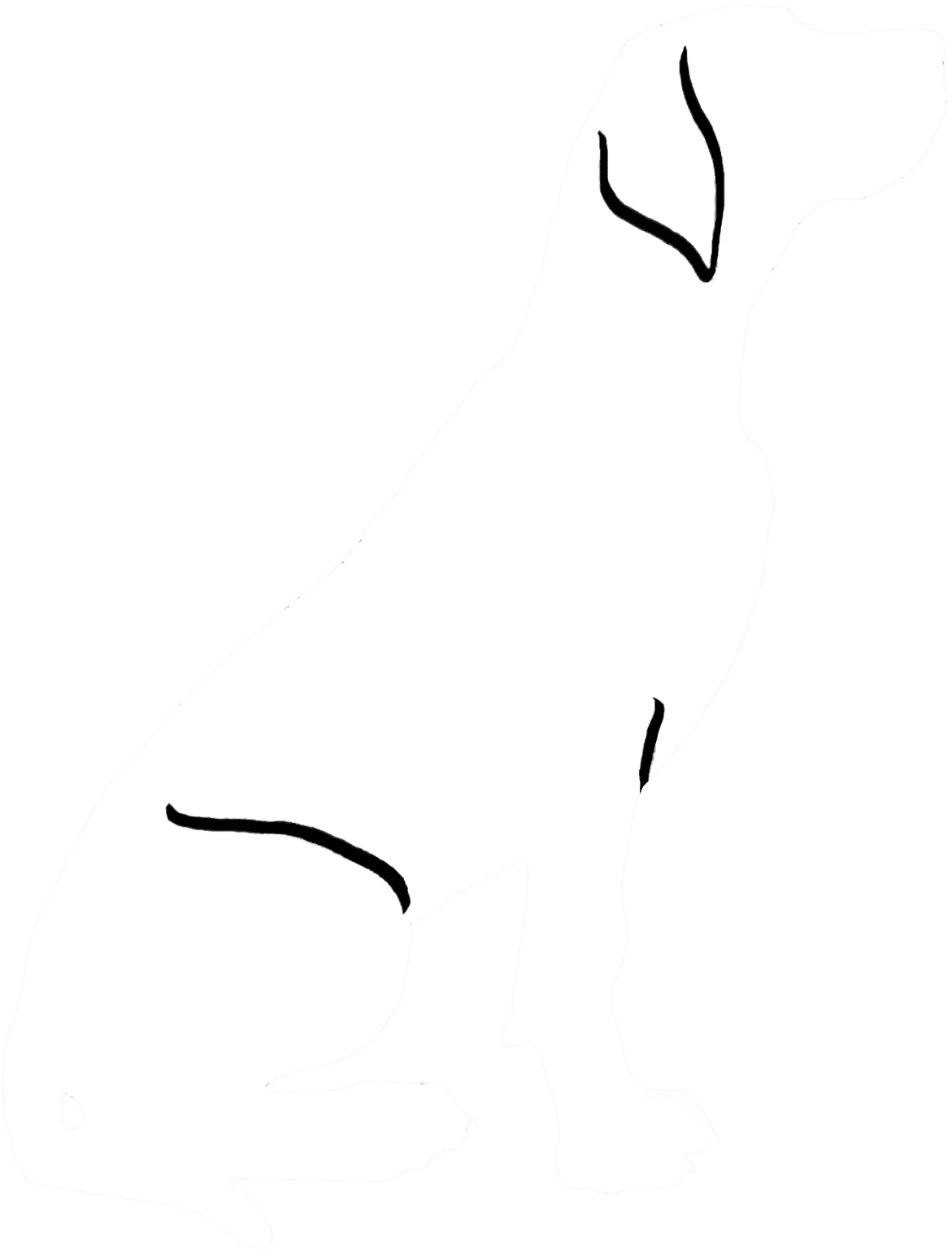 Home | Constant Companion LLC