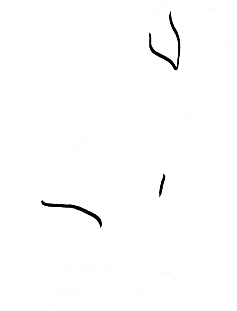 Home | Constant Companion LLC