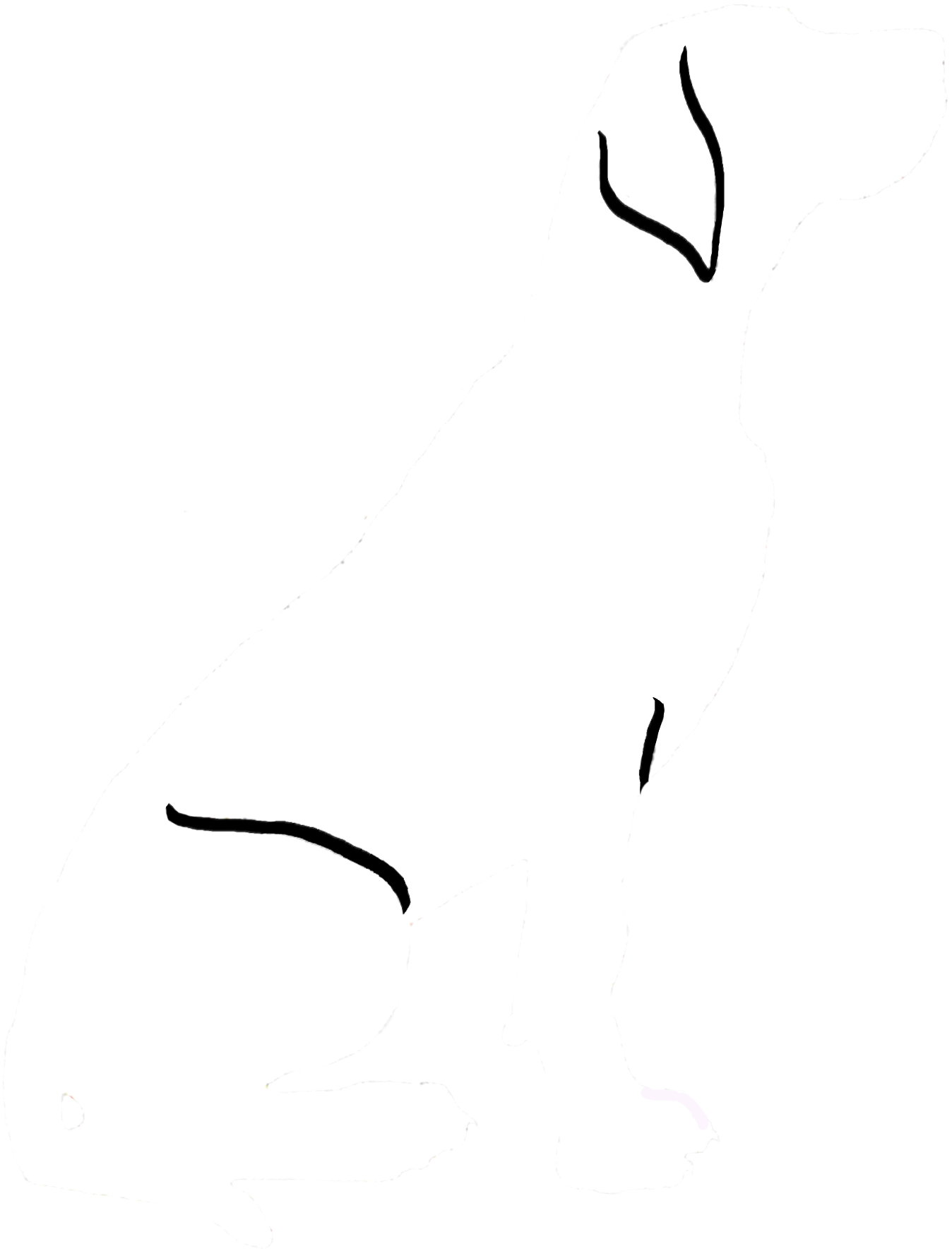 Home | Constant Companion LLC